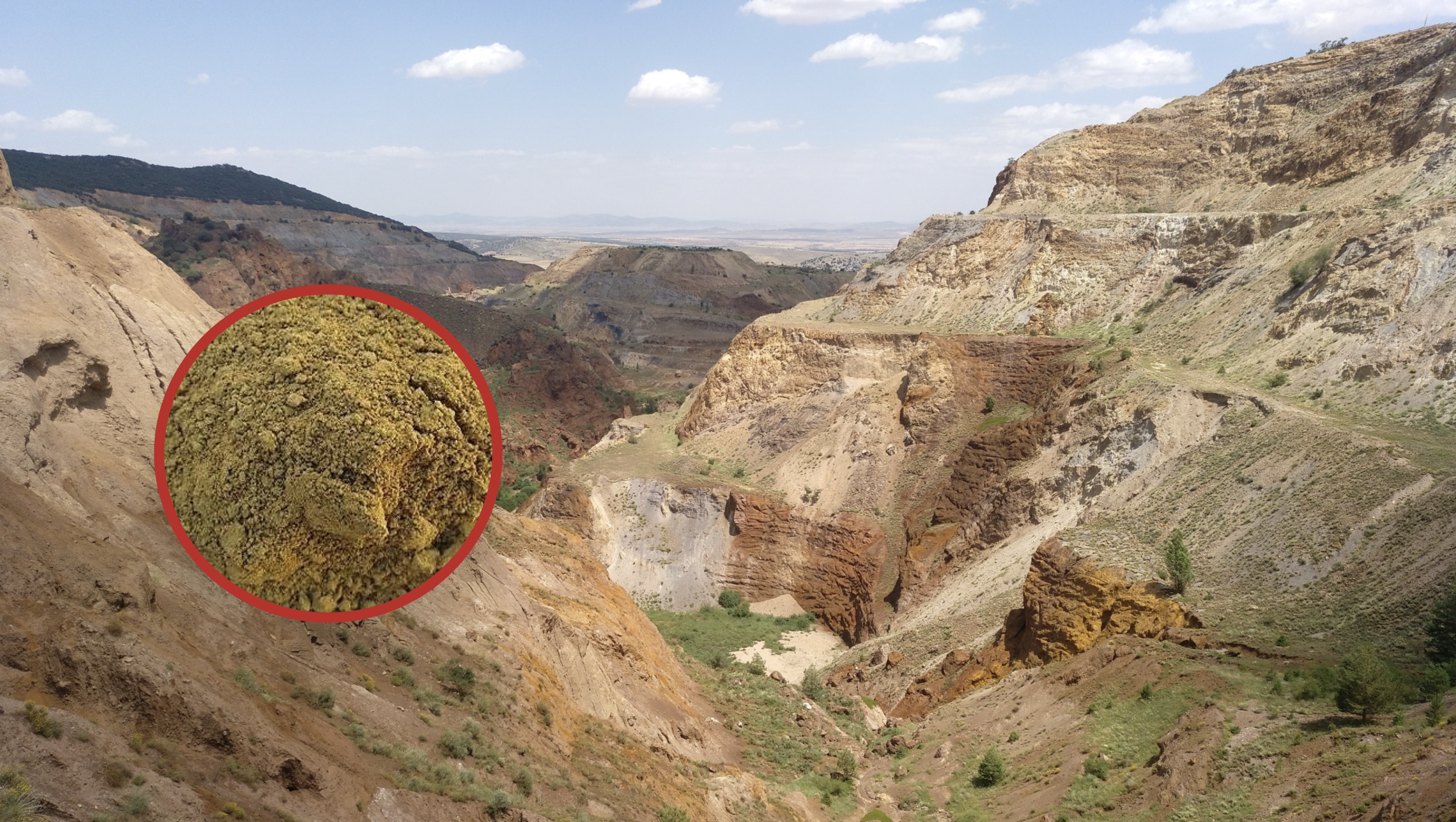 Micronox – Micronox